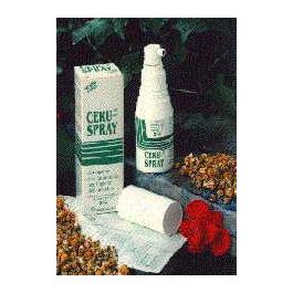 CERU SPRAY*ORECCHIE 30ML