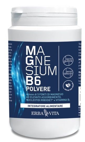 Erba Vita Magnesium B6 integratore magnesio vitamina b6 Polvere 200g